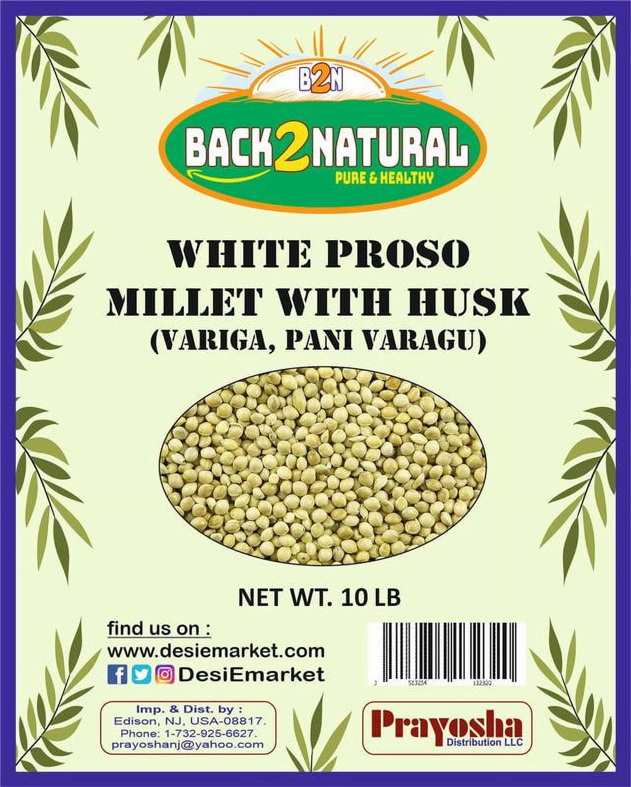 Back2Natural Proso Millet With Husk (Panicum Millaceum) Whole Ancient ...