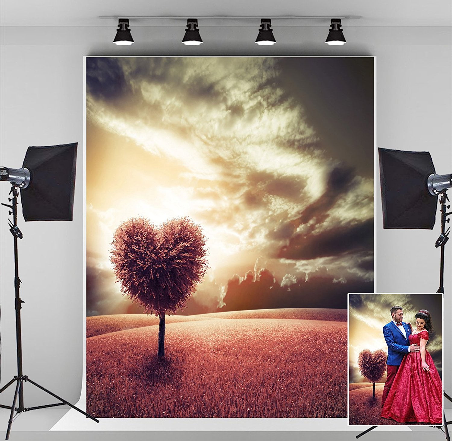 BackDrop Valentine's Day Love Backdrops For Lover Backgrounds ...
