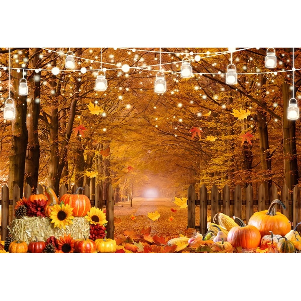 Backdrop Photo Birthday Portrait Baby Sunshine Bokeh Light Maples Leaves Fallen Photography For ...