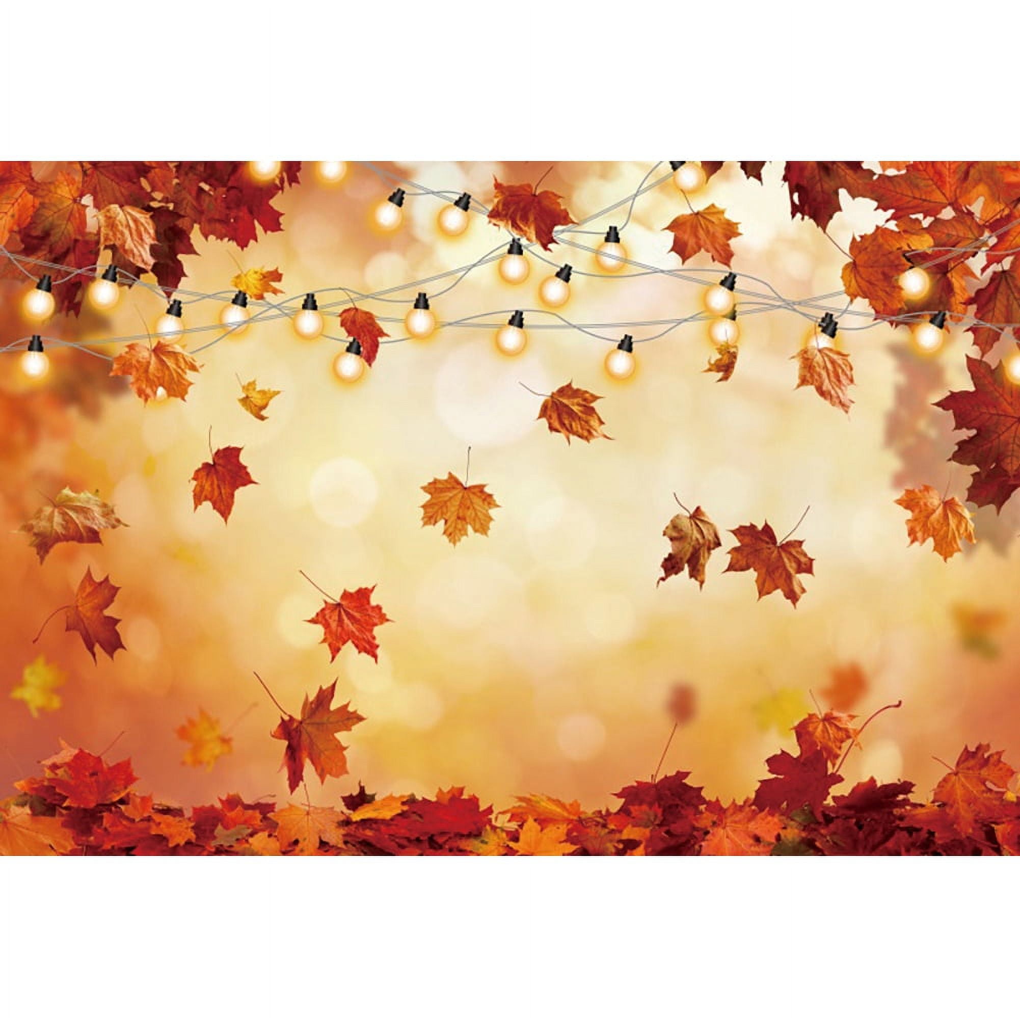Backdrop Photo Birthday Portrait Baby Sunshine Bokeh Light Maples Leaves Fallen Photography For ...