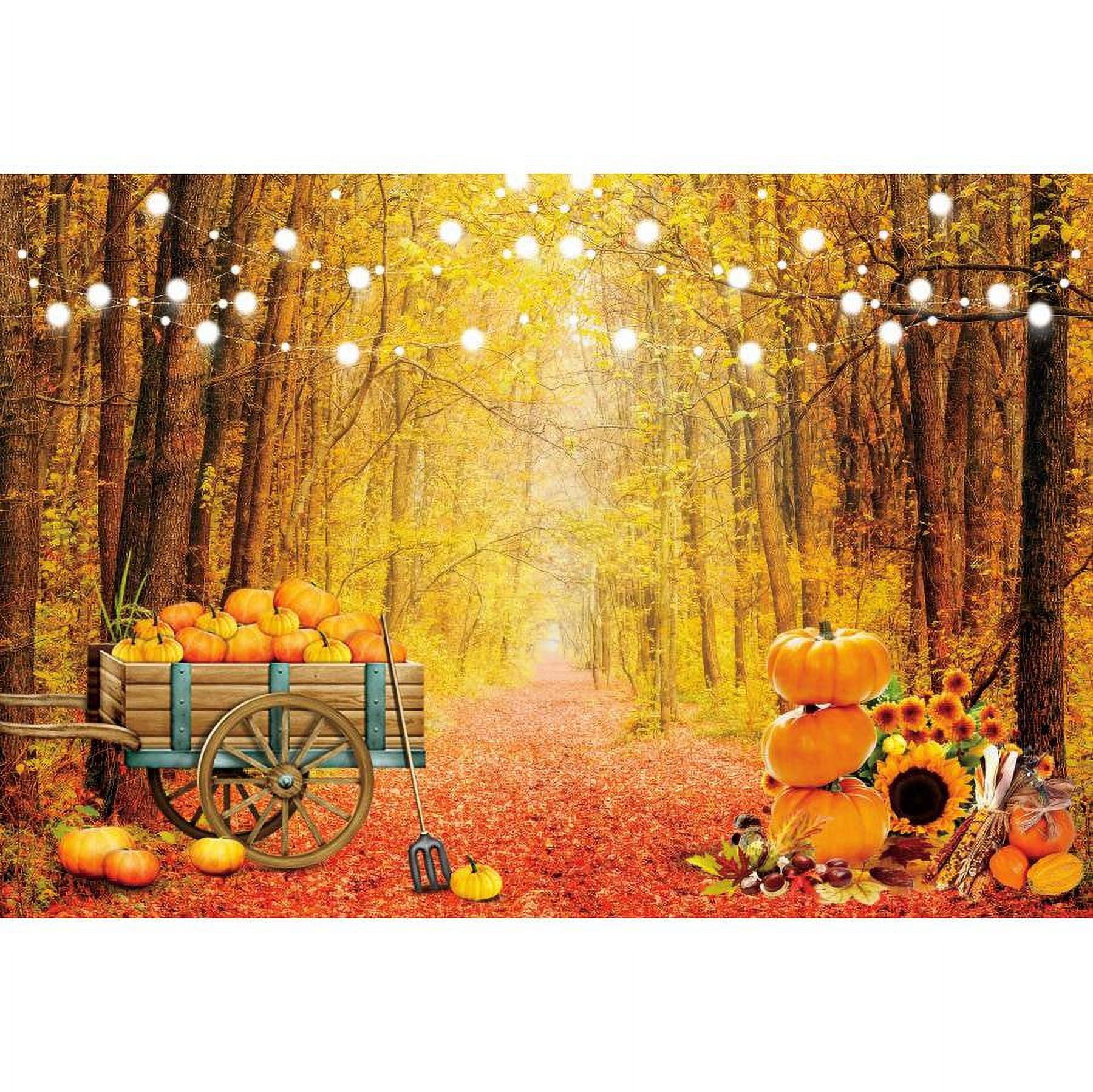 Backdrop Photo Birthday Portrait Baby Sunshine Bokeh Light Maples ...