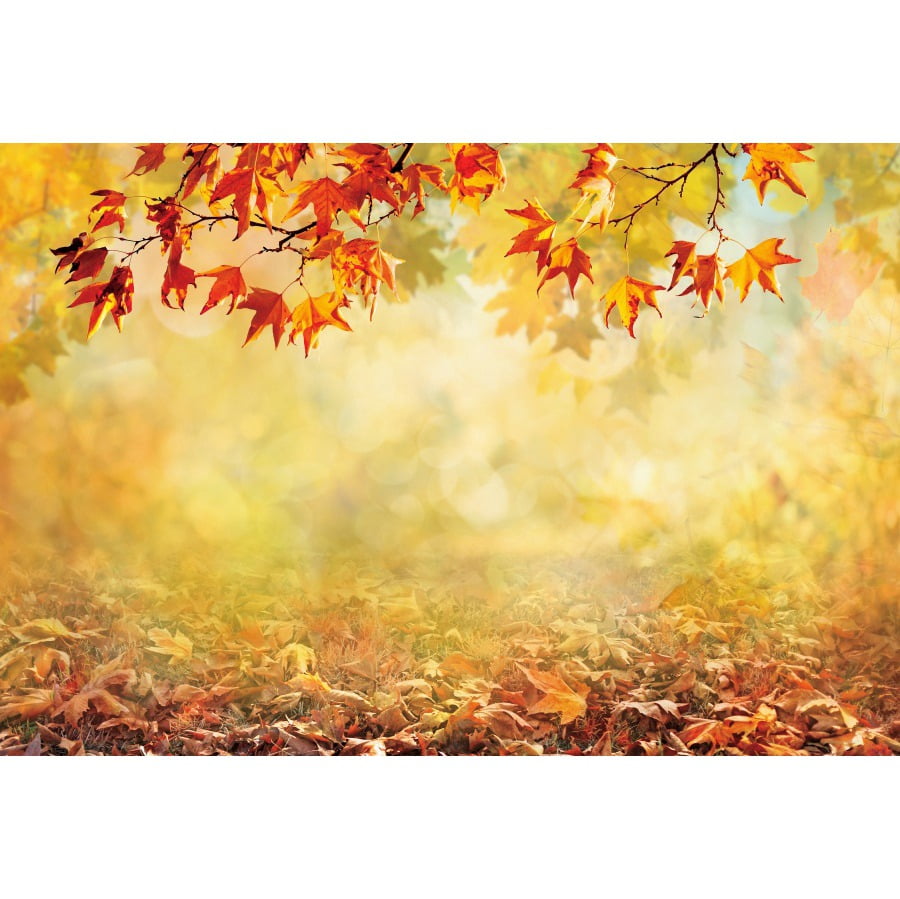 Backdrop Photo Birthday Portrait Baby Sunshine Bokeh Light Maples ...