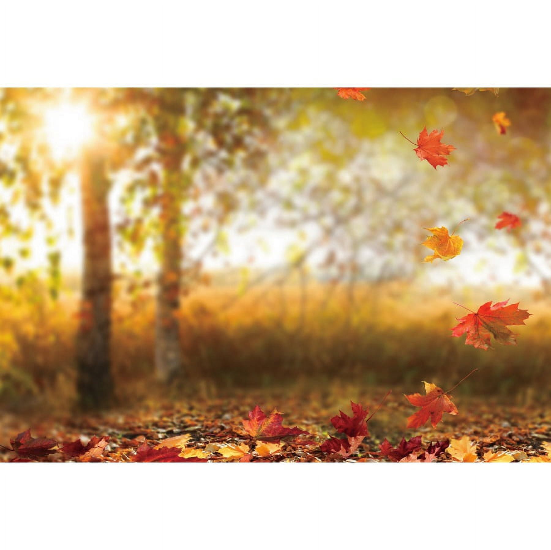 Backdrop Photo Birthday Portrait Baby Sunshine Bokeh Light Maples ...