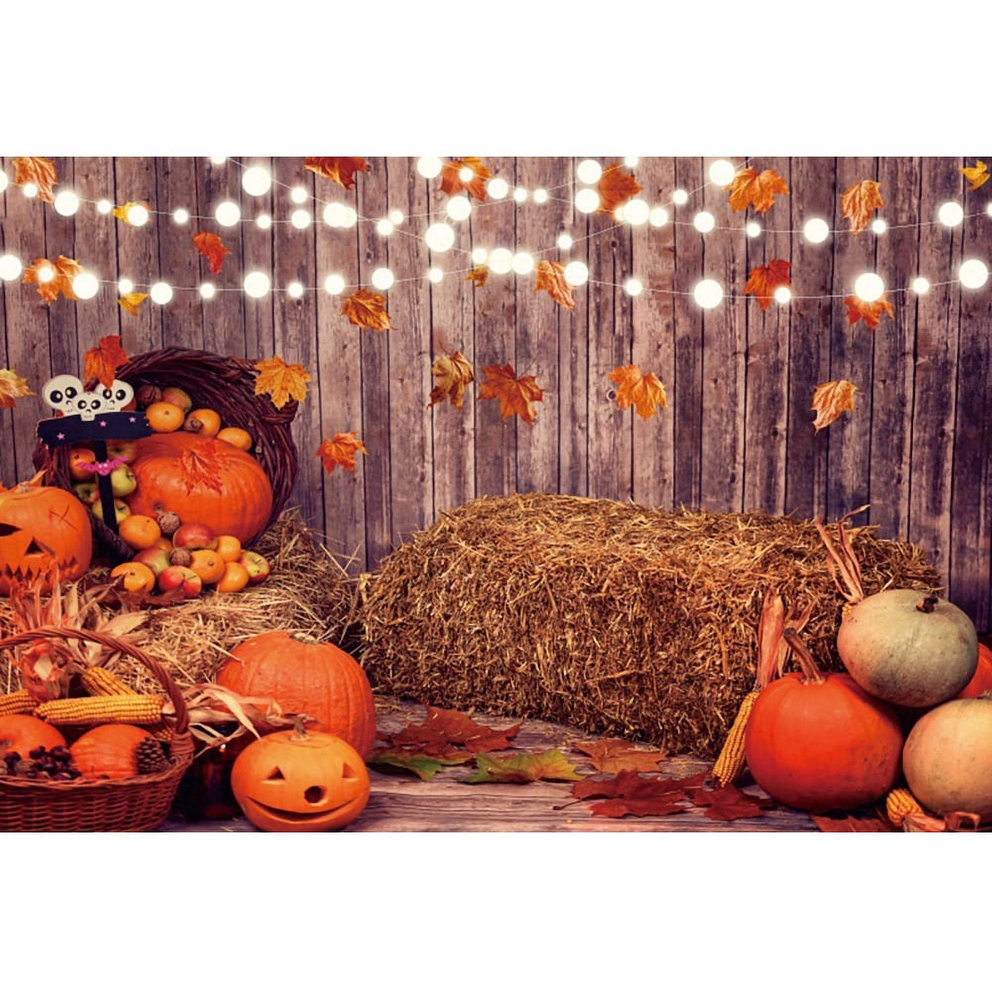 Backdrop Photo Event Harvest Farm Background Party Friendsgiving Leaves ...