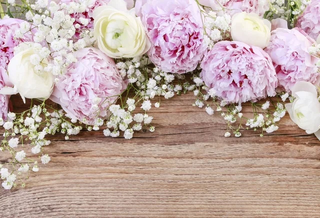 Backdrop Photography Background Photo Photoz Studio Photo Digital For ...