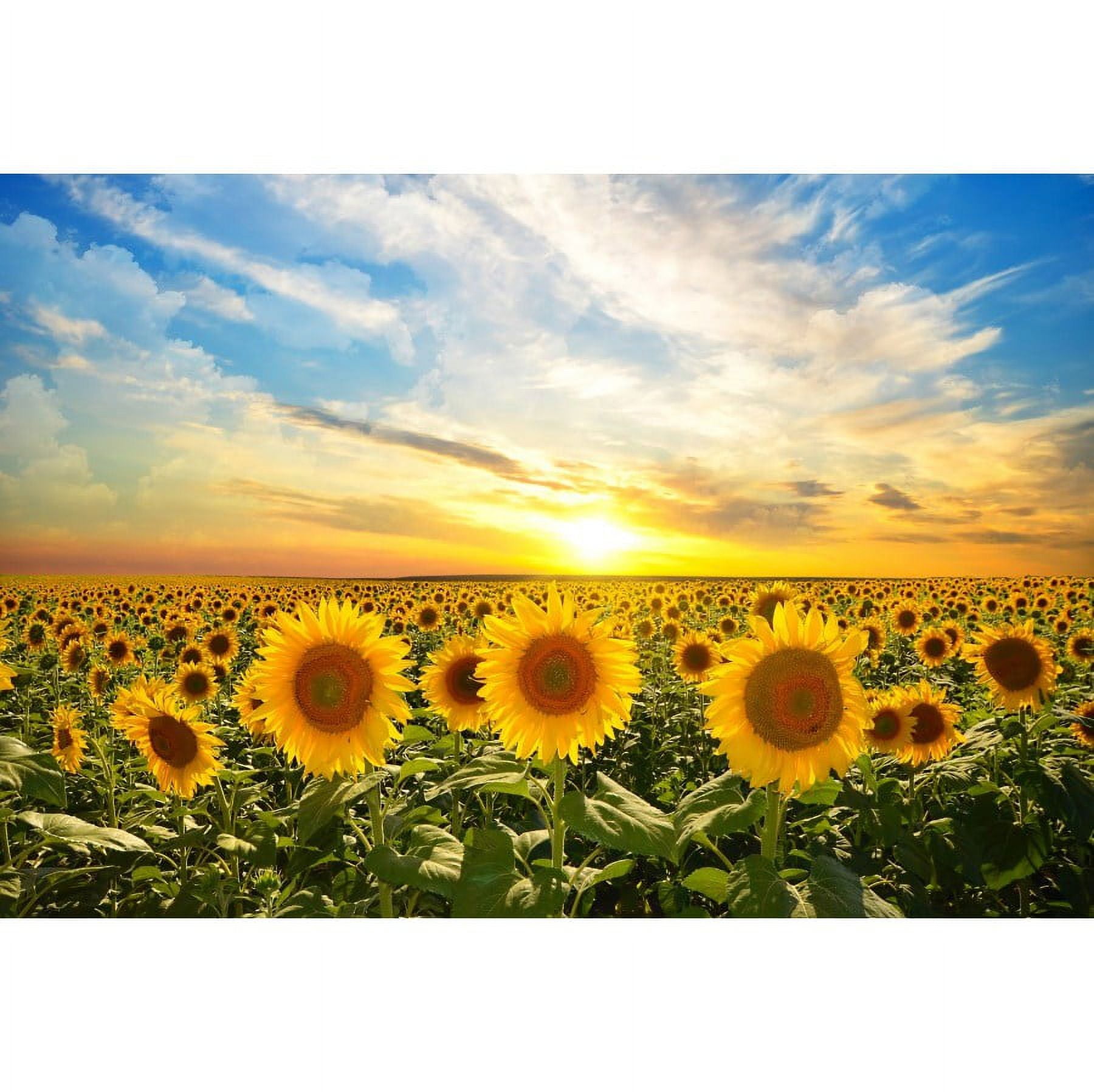 Backdrop Photography Party Birthday Baby Newborn Sky Floral Yellow ...