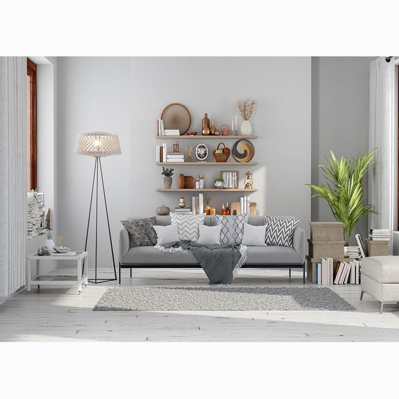 Backdrops Modern Living Room Interior With Gray Sofa Floor Lamp Potted ...