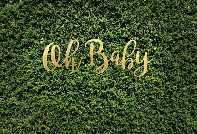 Backdrops Photographic Photocall Backgrounds Photography Portrait Love ...