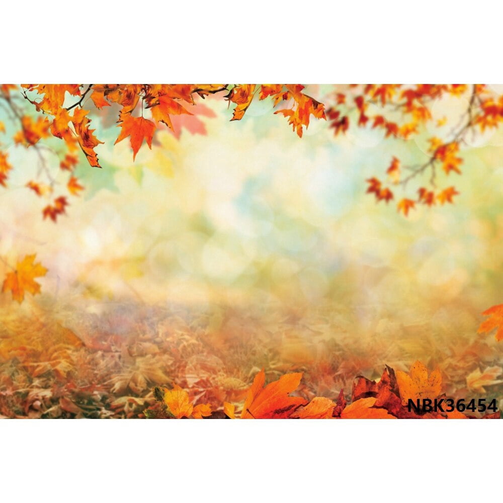 Backdrops for Photography Backgrounds Autumn Golden Maple Leaves ...