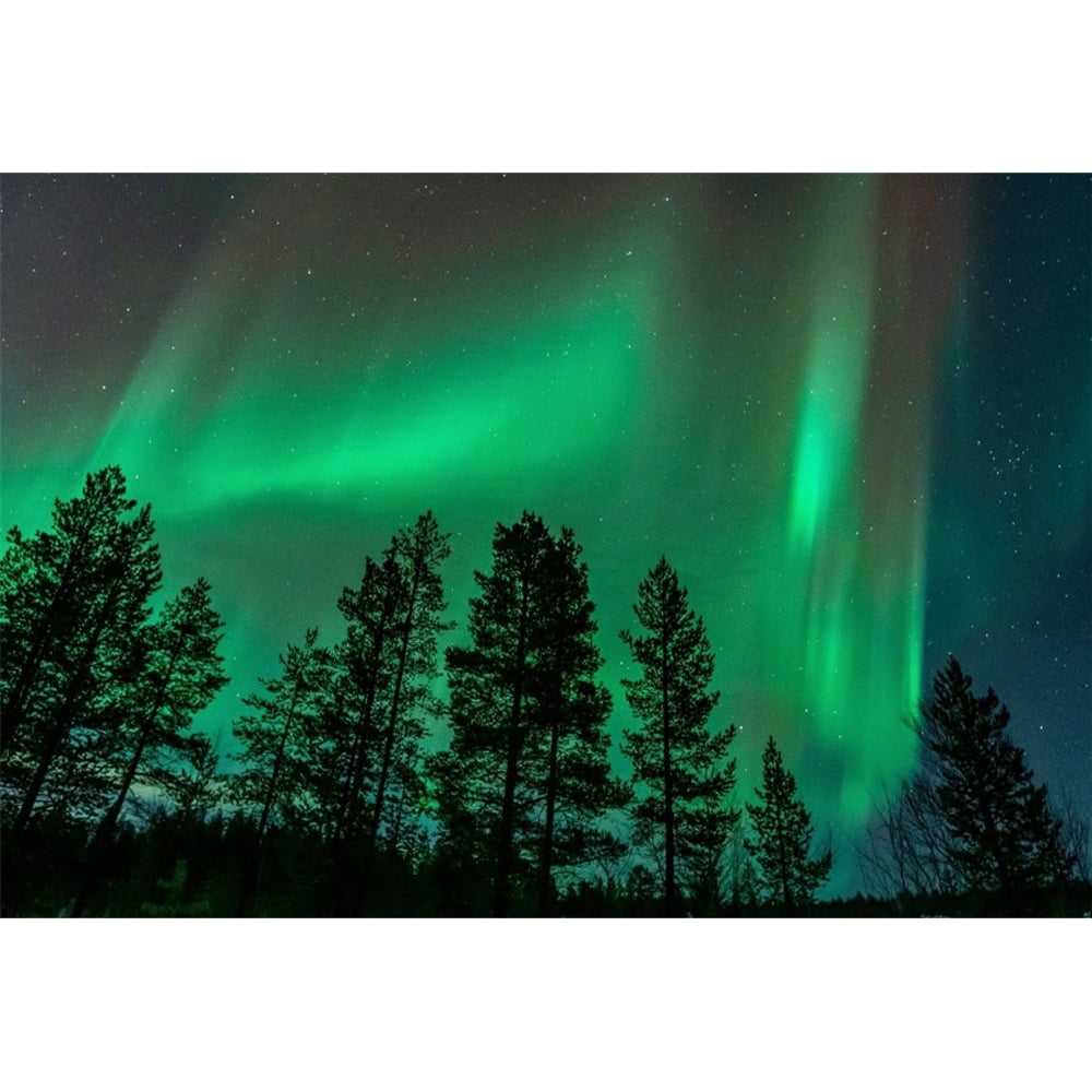 Backgroud Light Polar Landscape Winter Norway Lights Northern Scenery ...