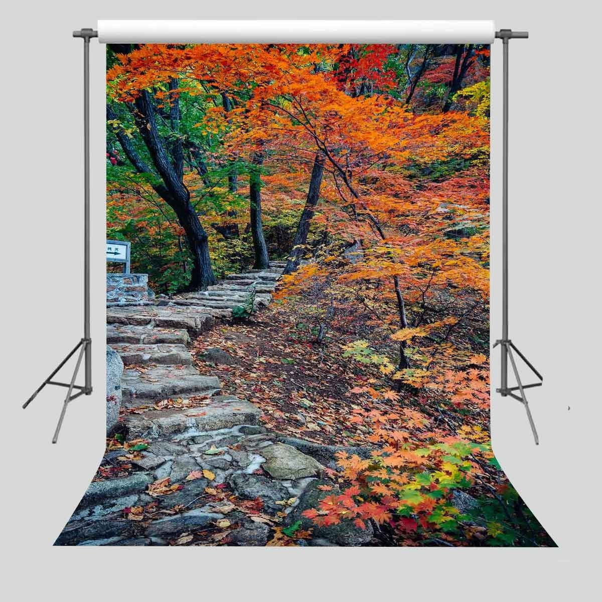 Background 5x7ft Attractions Forest Photography Backdrop Travel Photo ...