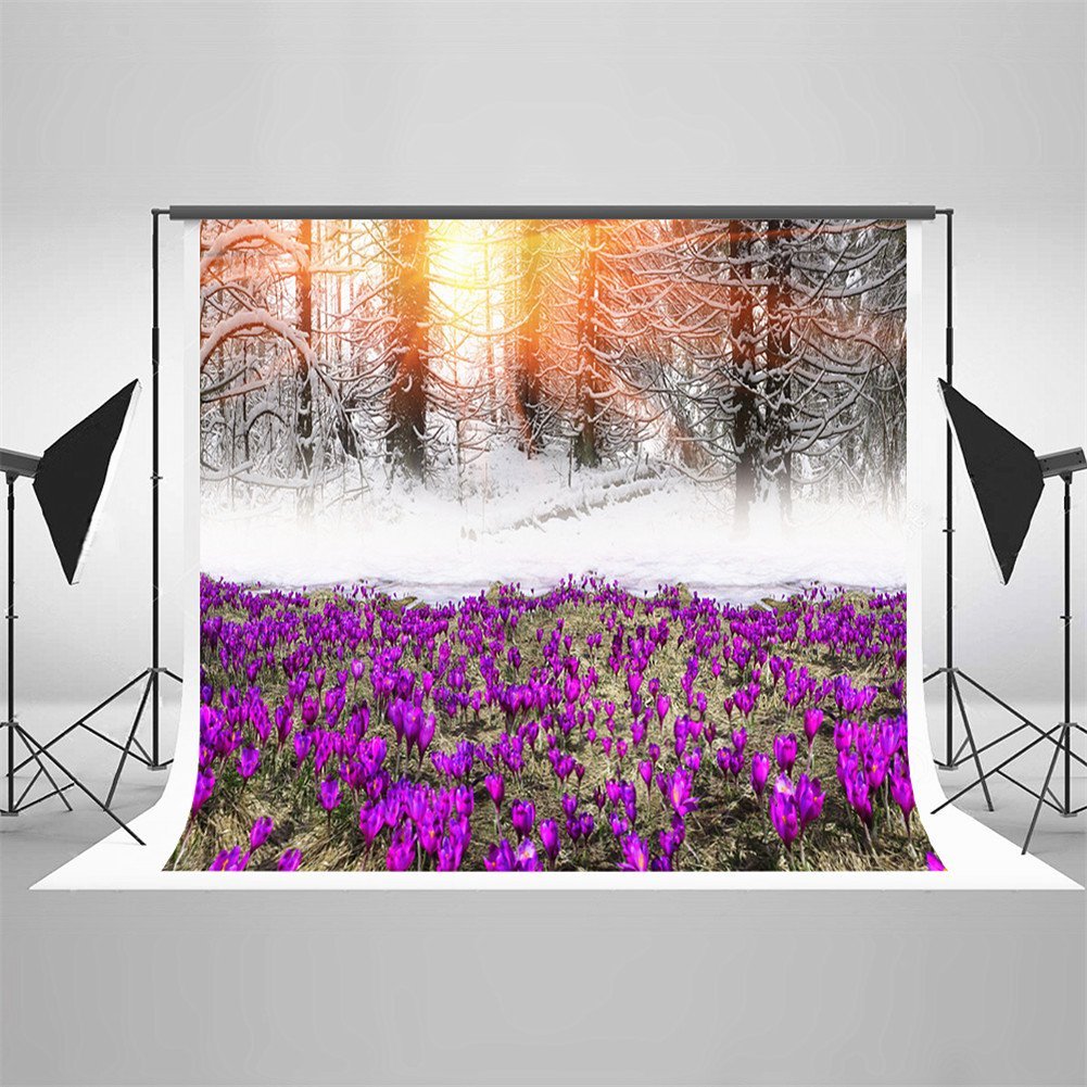 Background Backdrop for Photography 5x7ft Snow Wood Forest Bright ...