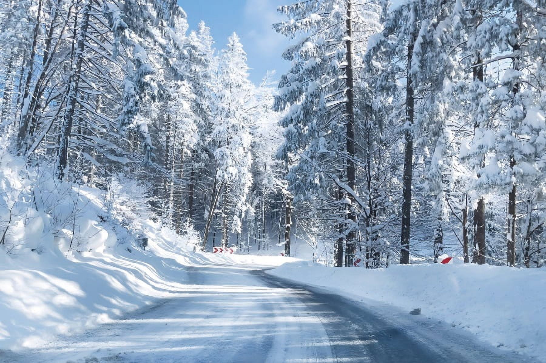 Background Photography Landscape Natural Sky Blue Tree Snowflake ...