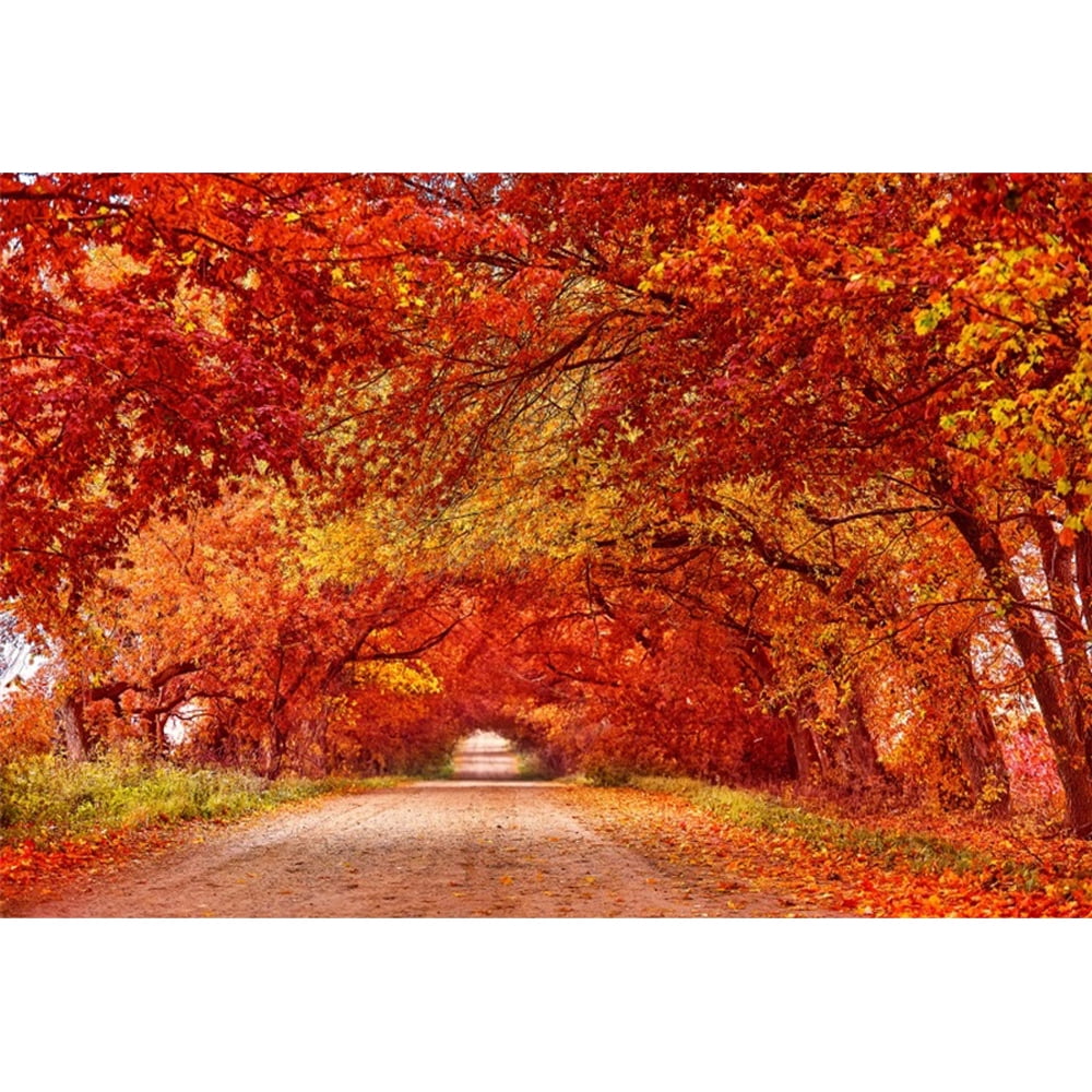 Background Photography Portrait Family Travel Outdoor Park Autumn Party ...