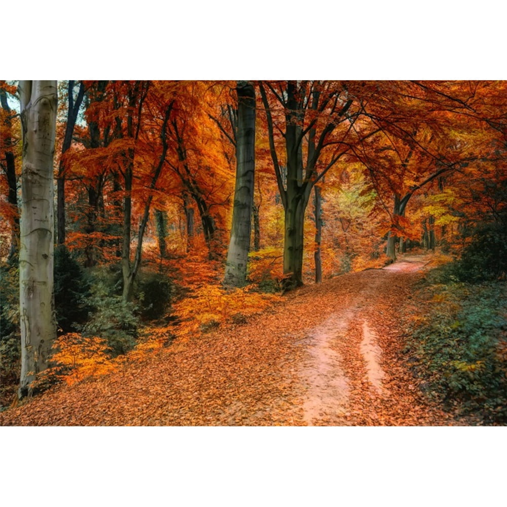 Background Photography Portrait Family Travel Outdoor Park Autumn Party ...