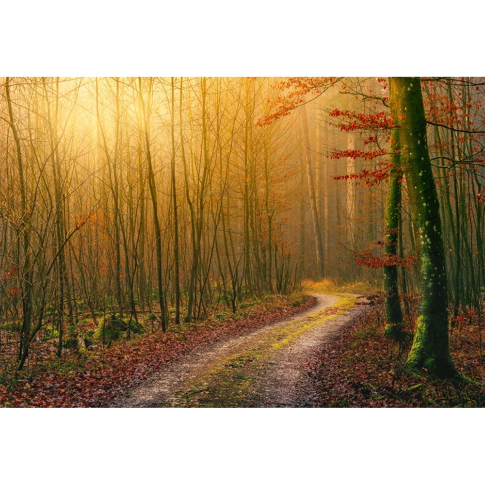 Background Photography Portrait Family Travel Outdoor Park Autumn Party ...