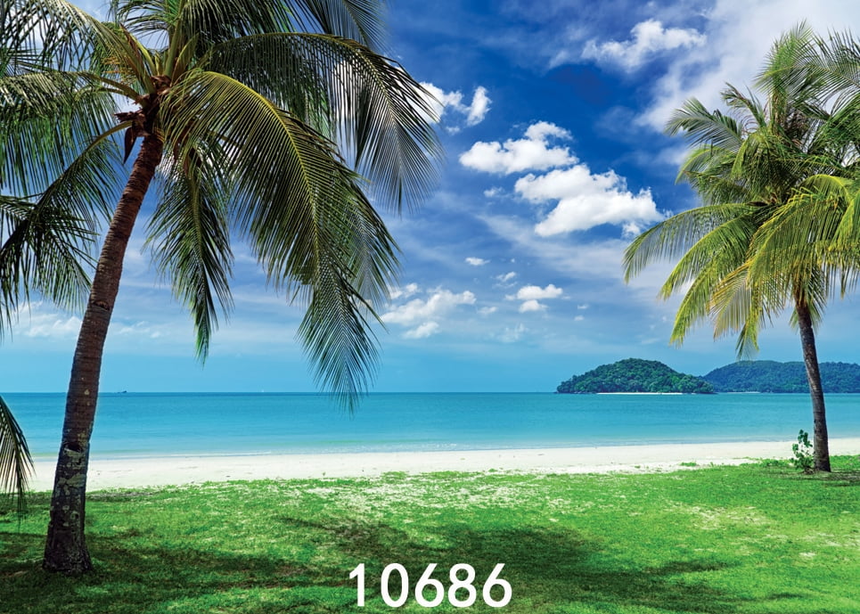 Background Vinyl Photography Backdrops Sea Beach Palm Tree Computer ...