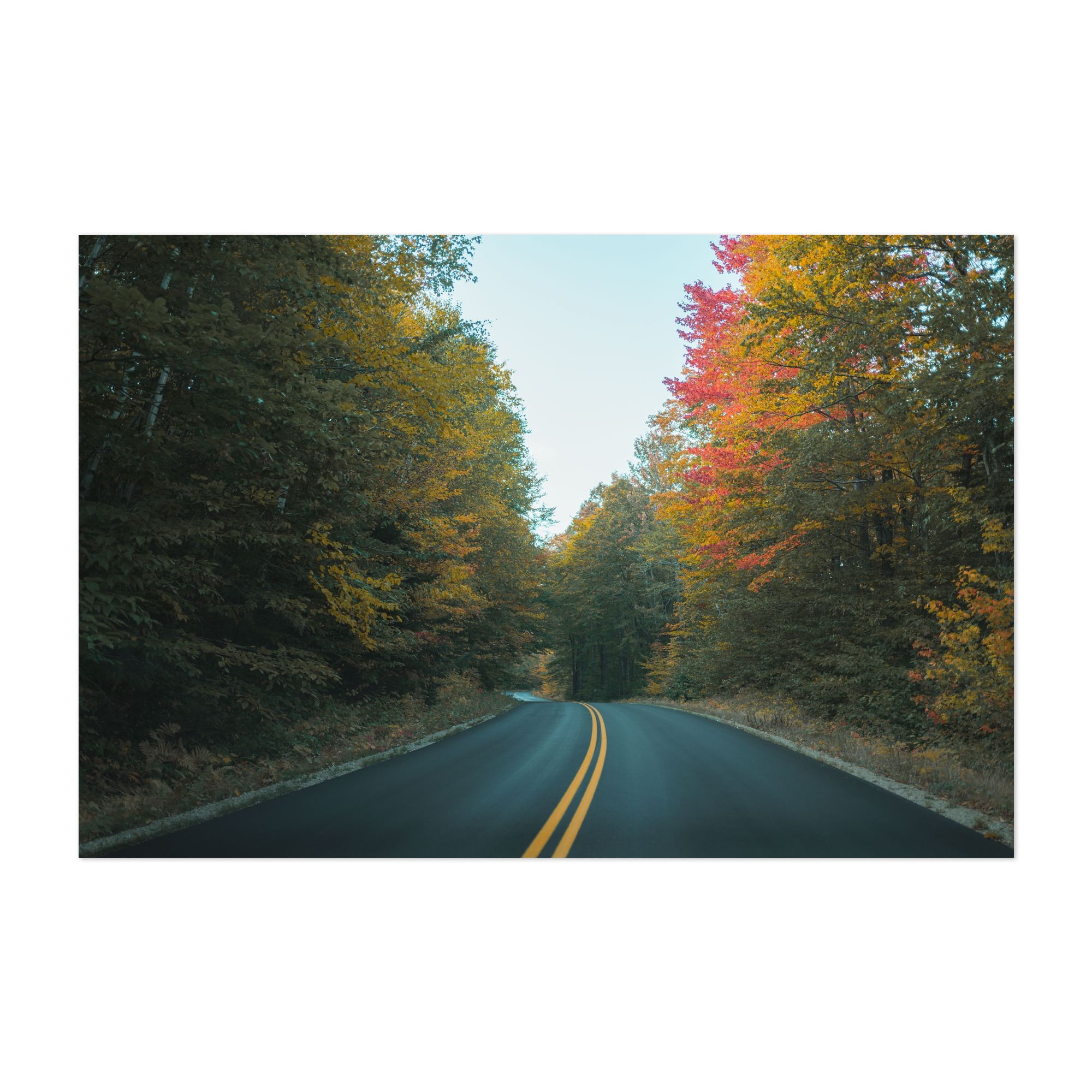 Backroads - Photography Autumn Nature Landscape Forest Scenic Unframed ...