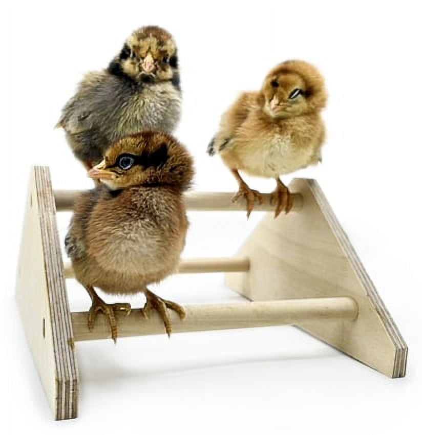 Backyard Barnyard Mini Chick Roosting Perch (2 Pack) Chicken Toys for ...