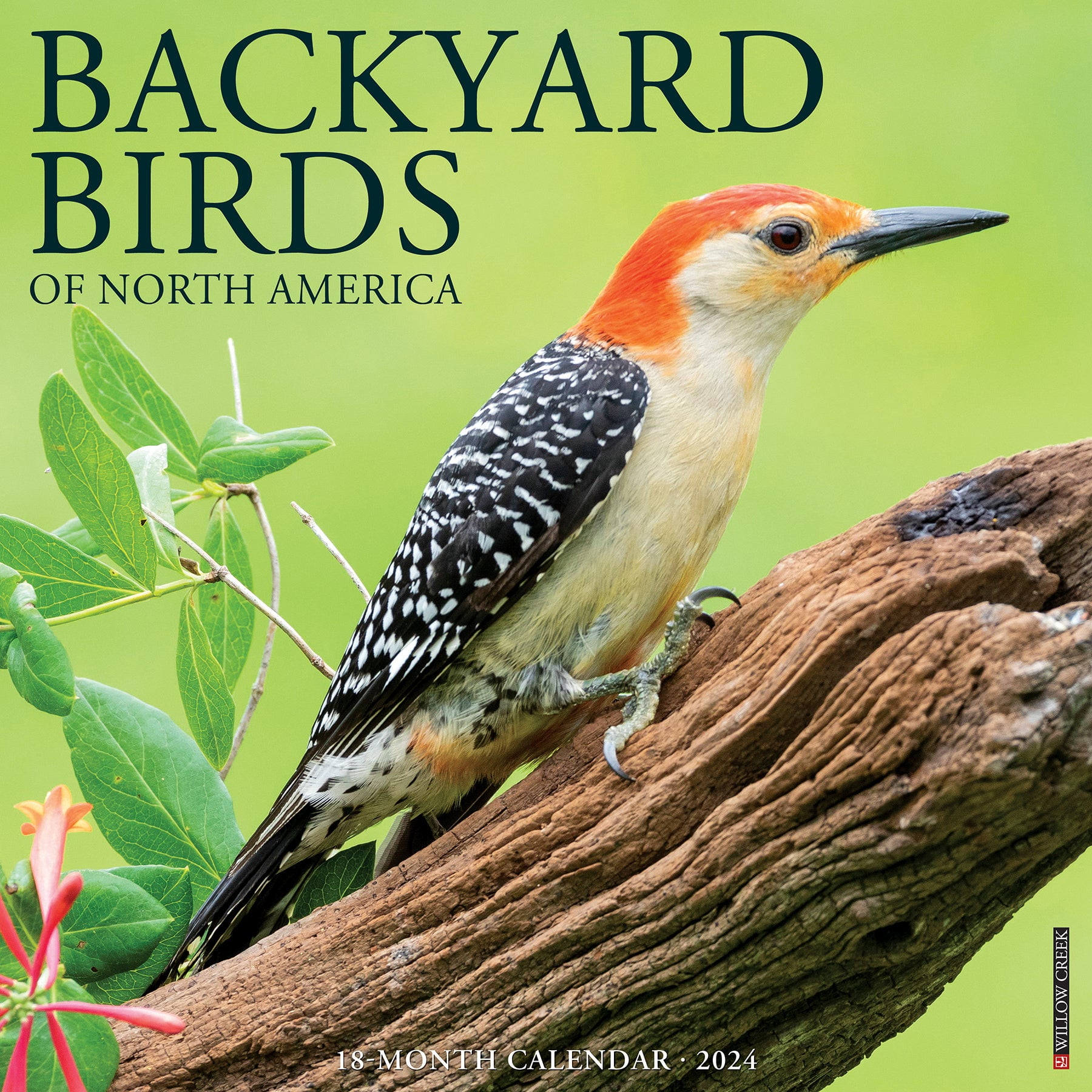 Willow Creek Press Nature Calendar - Backyard Birds 2024 Wall Calendar ...