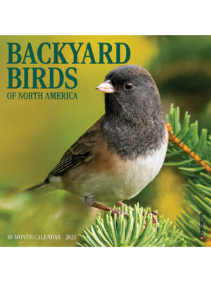 Backyard Birds 2025 7 X 7 Mini Wall Calendar - Walmart.com