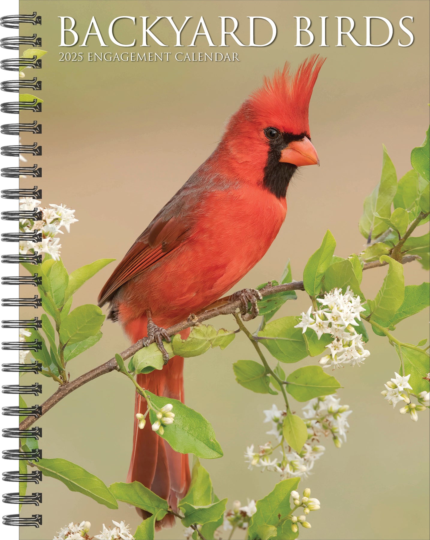Backyard Birds 2025 Engagement Calendar - Walmart.com