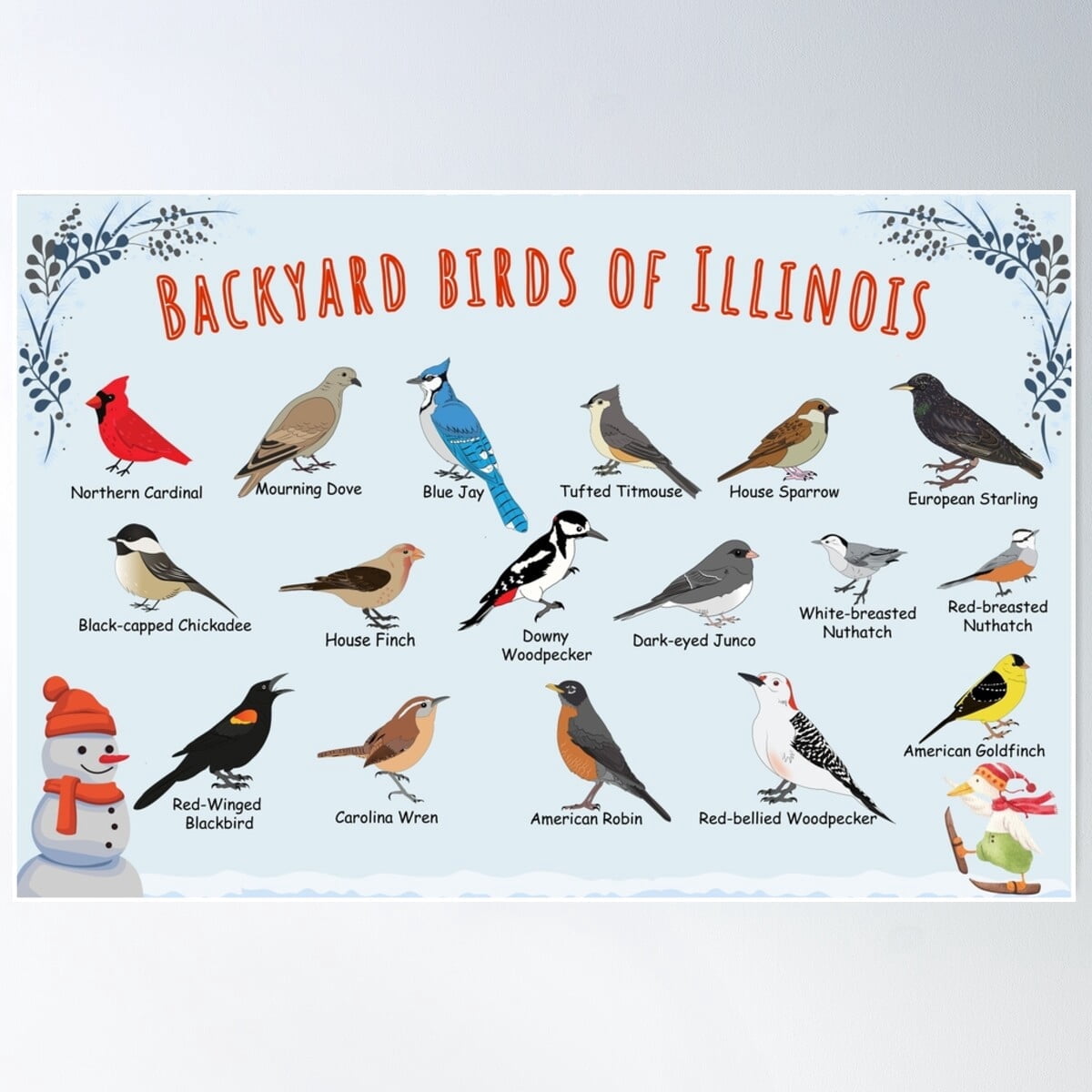 Backyard Birds Illinois Poster Wall Art UNFRAMED PAPER POSTER, Home ...