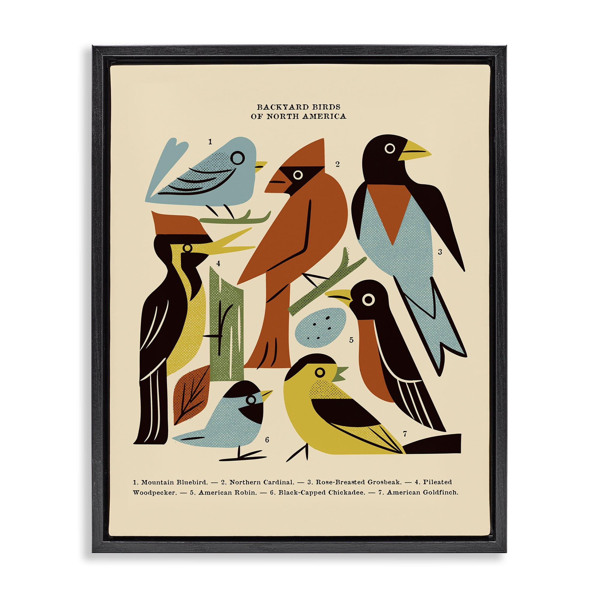 Backyard Birds Midcentury Modern Black Framed Floater Canvas Wall Art ...