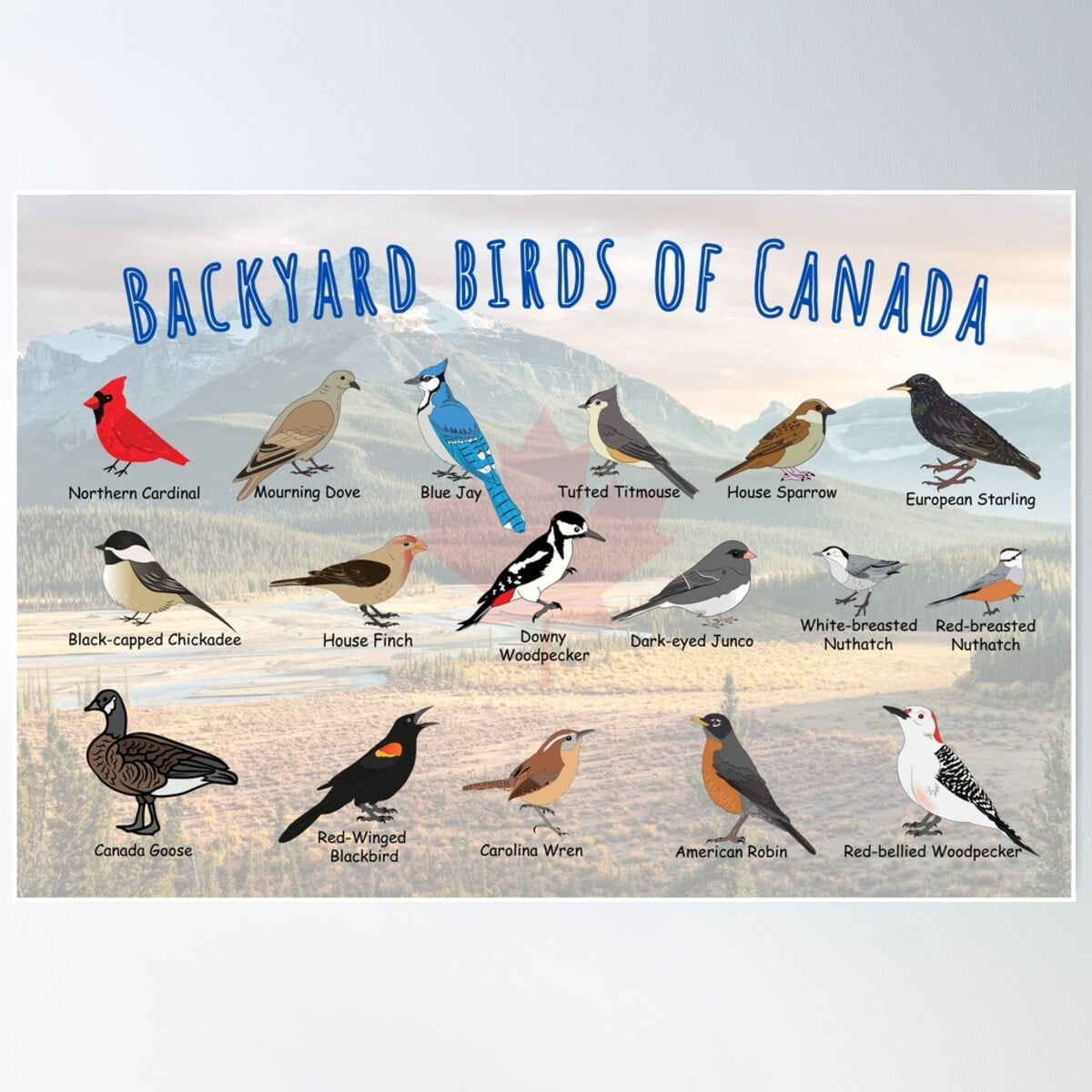 Backyard Birds Of Canada, Mountain Background. Poster Wall Art, Modern ...
