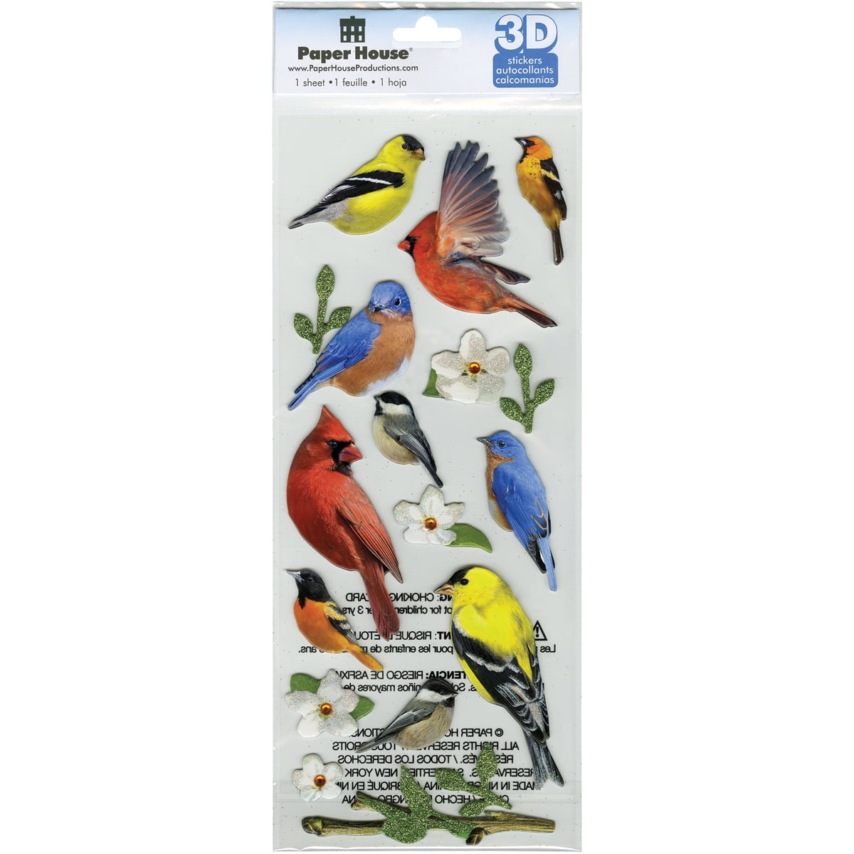 Paper House 3D Stickers 4.5"X7.5" -Backyard Birds - Walmart.com