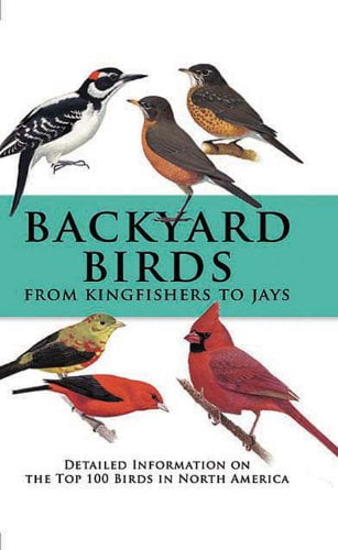 Pre-Owned Backyard Birds from Kingfishers to Jays : Detailed ...