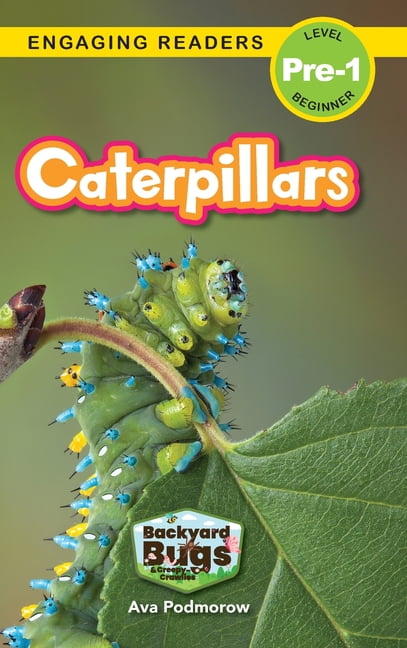 Backyard Bugs and Creepy-Crawlies: Caterpillars: Backyard Bugs and ...