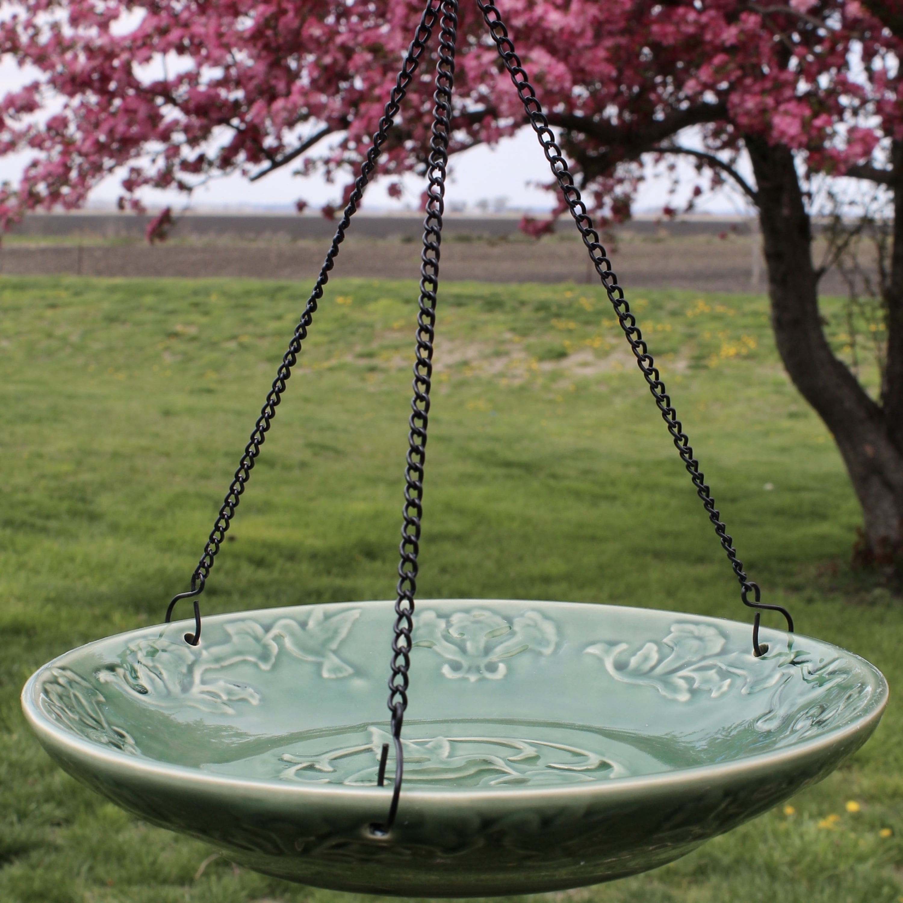 Backyard Essentials Bird Bath Hanging Birdbath Green Songbird for Bird ...