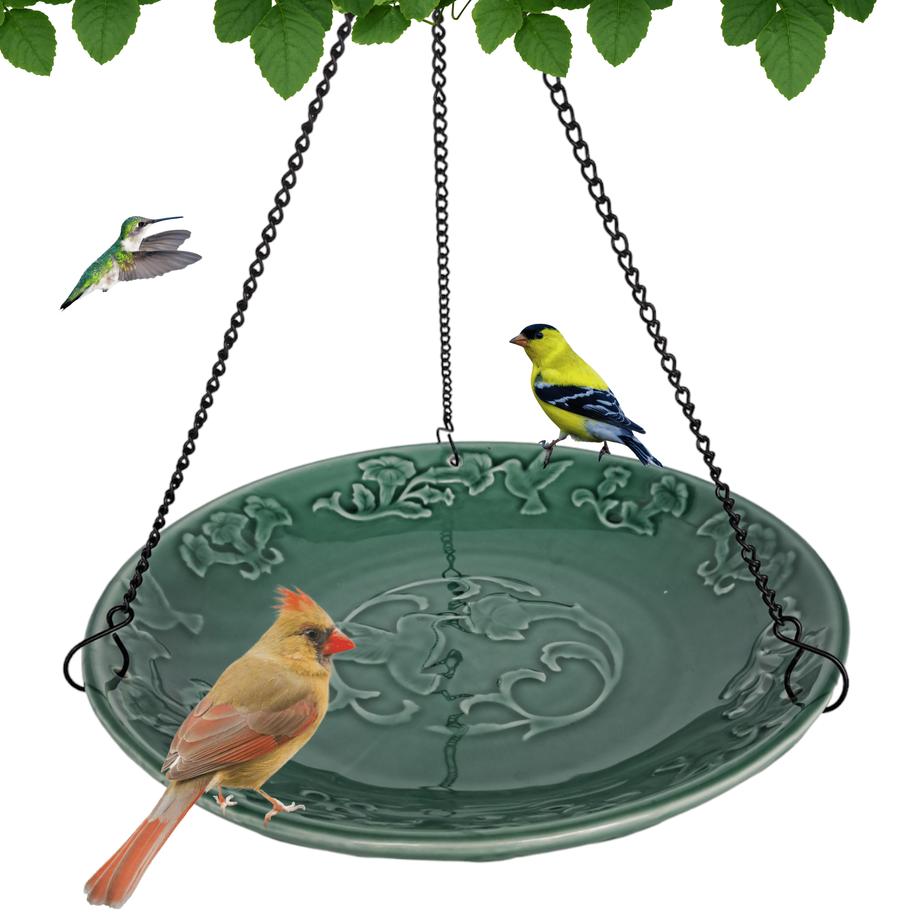 Backyard Essentials Outdoor Hummingbird Ceramic Bird Bath, Green ...