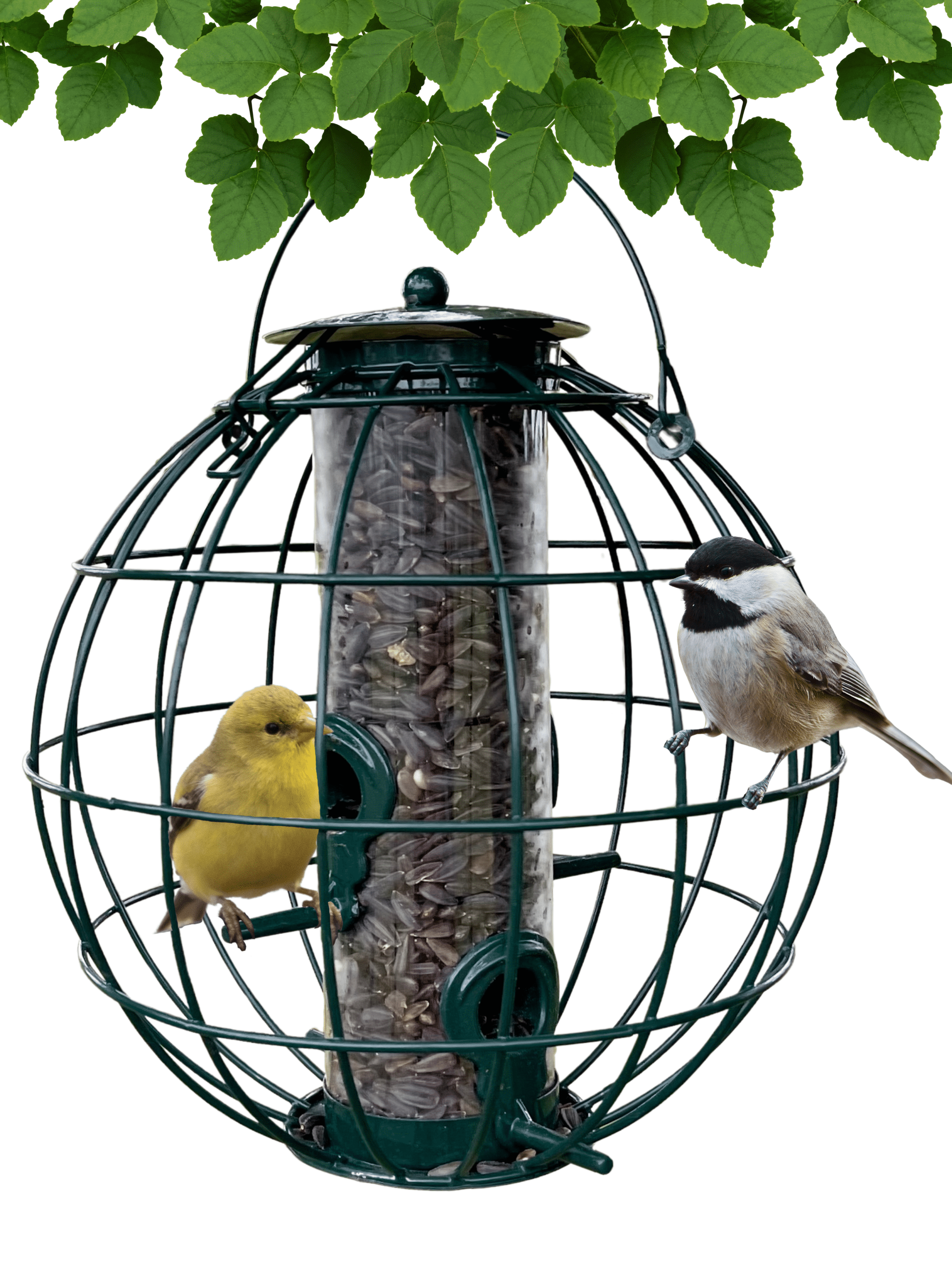 Outdoor Backyard Essentials Bird Feeder, Petite Orb Caged Green Finch Feeder, 2 Cup Capacity ...