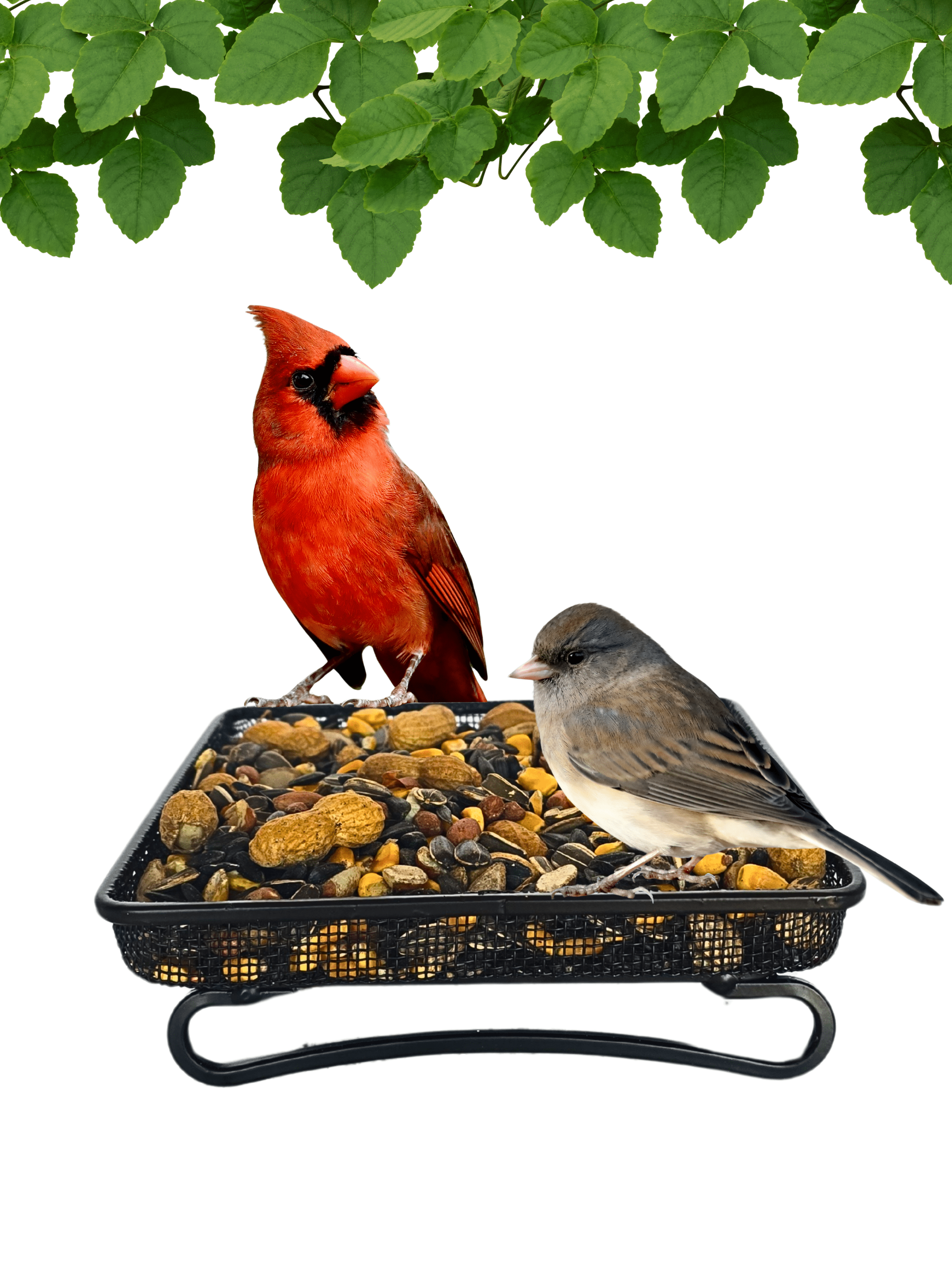 Backyard Essentials Metal Mesh Bird and Squirrel Feeder Tray, 2 Cup ...