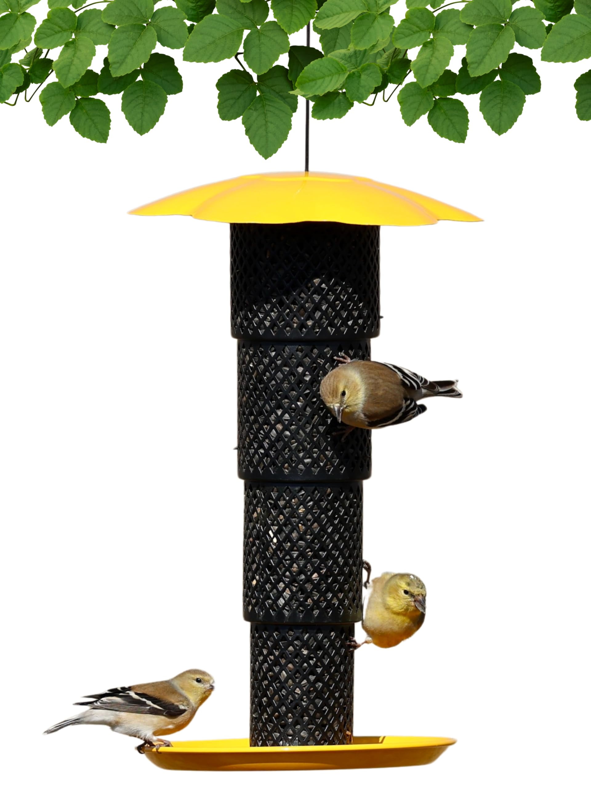 Backyard Essentials Collapsible Tube Bird Feeder AIS1 Outside Hanging ...