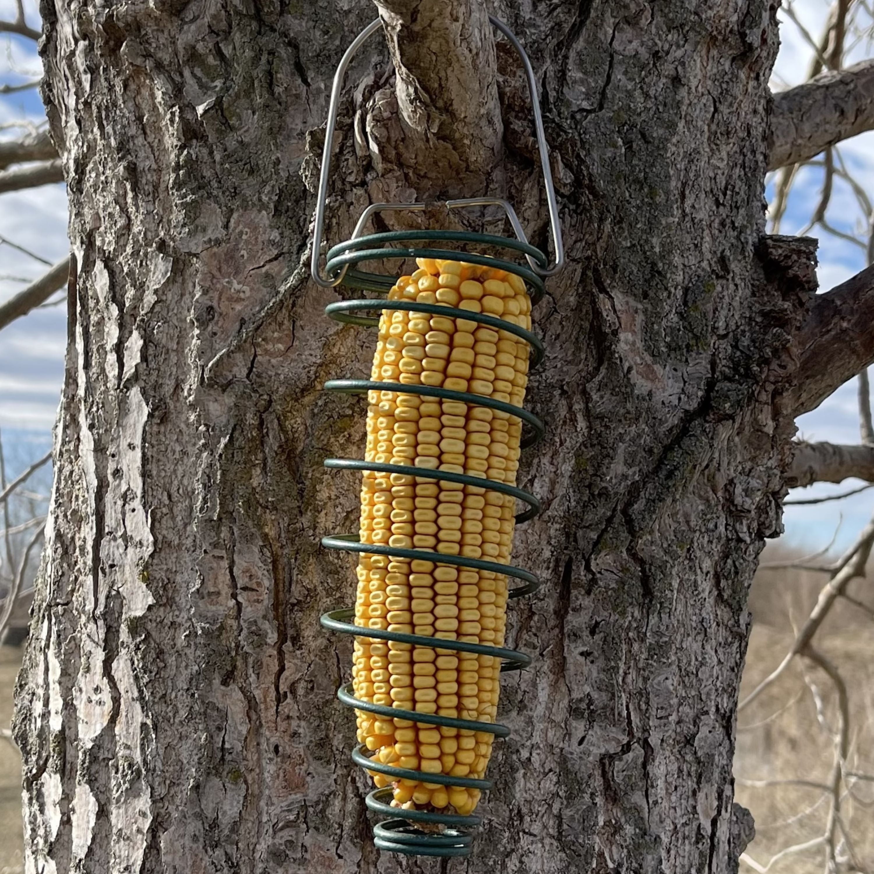 Backyard Essentials Metal Squirrel and Bird Food Feeder, Hanging Corn ...