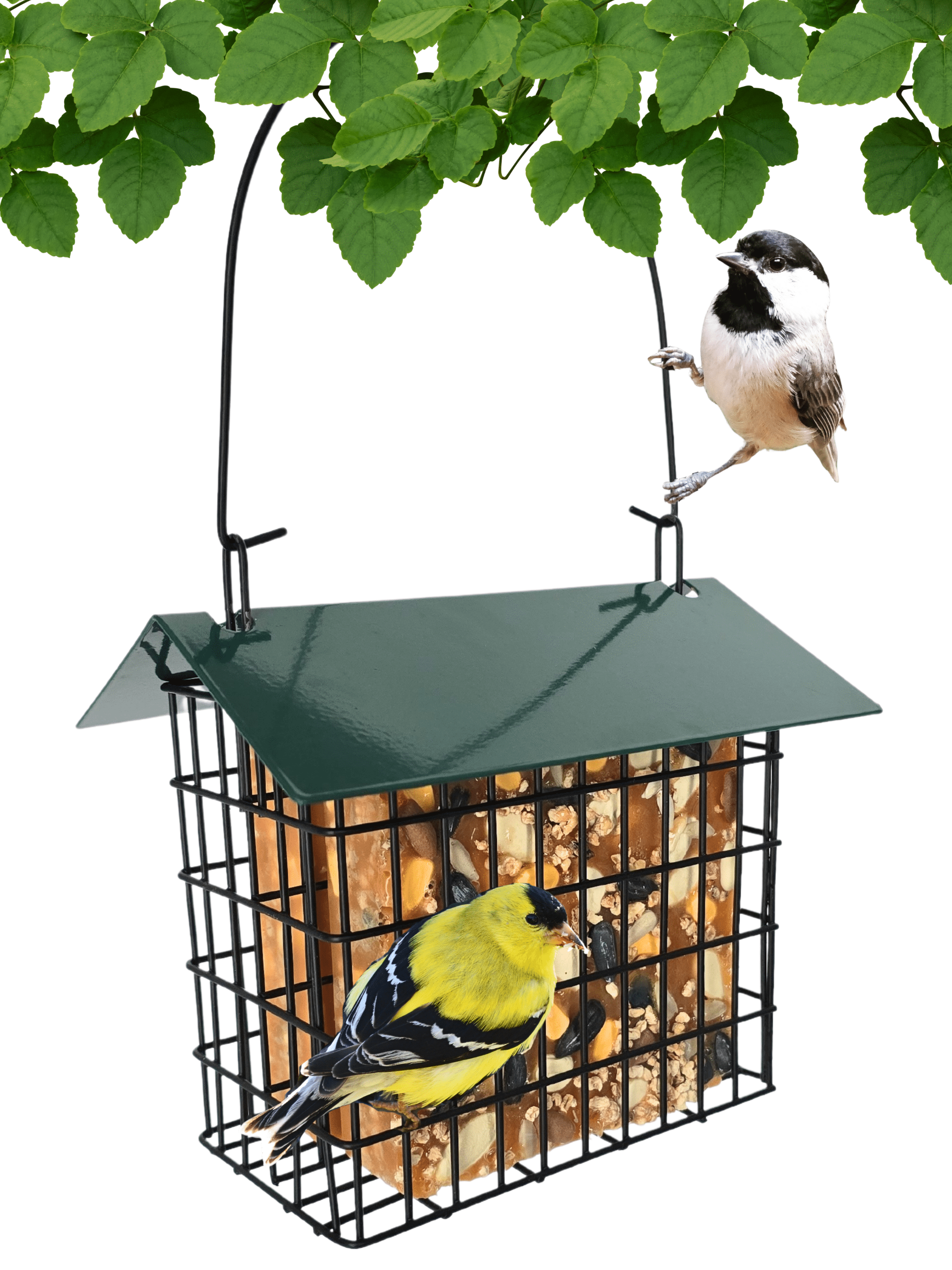 Backyard Essentials Double Suet Feeder, Green, 2 Suet Cake Capacity ...