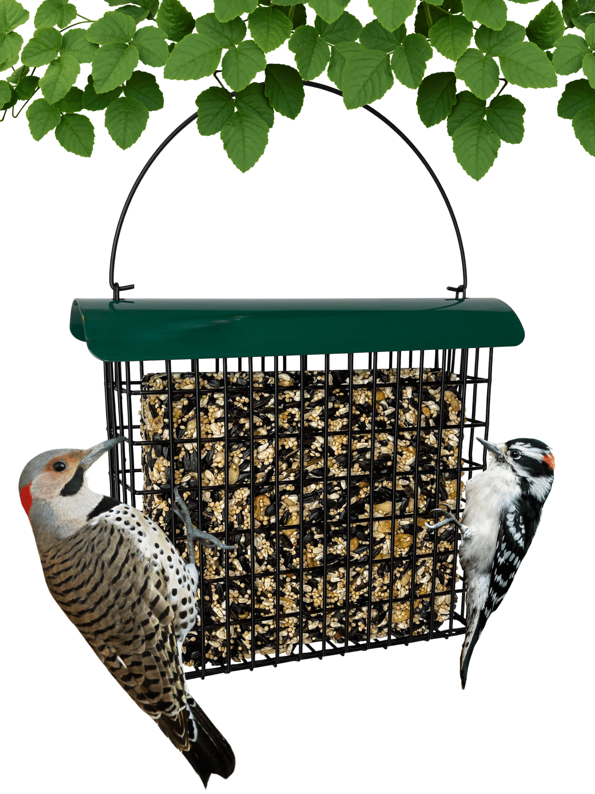 Backyard Essentials Large Suet Feeder Metal Bird Feeder Holds One Large ...
