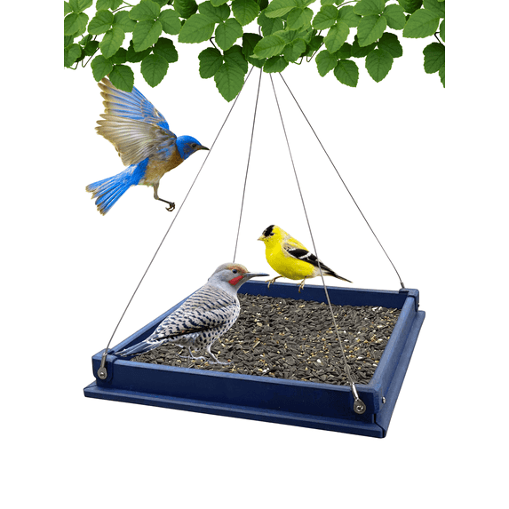 Backyard Essentials Large Outdoor Bird Feeder, Plastic Tray, Wire ...