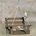 Backyard Essentials Porch Swing Bird Feeder Hanging Squirrel Feeder ...