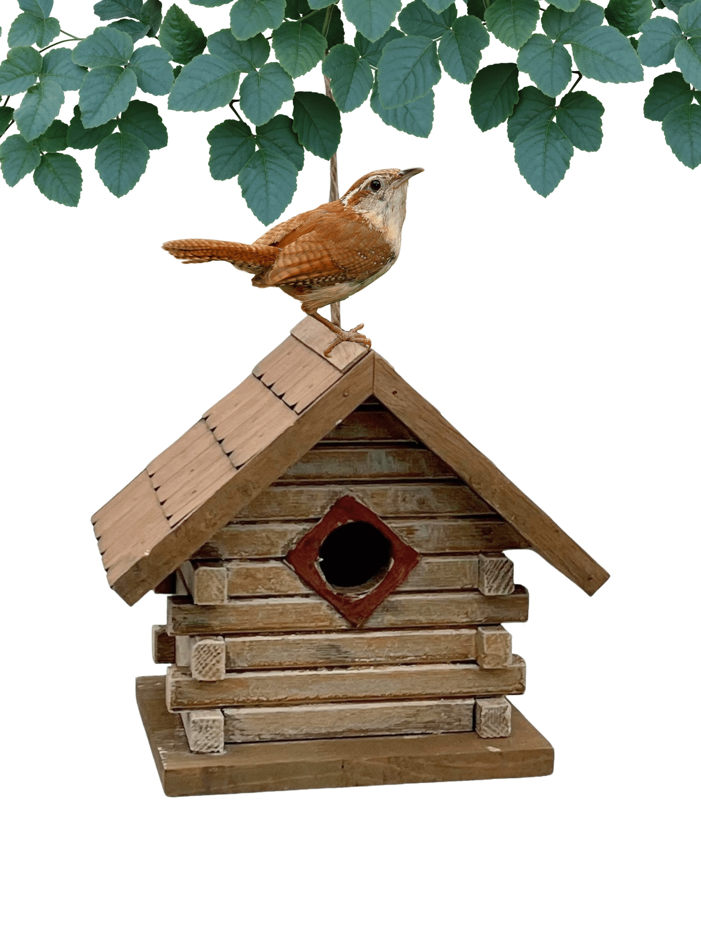 Backyard Essentials Wren Bird House Wooden Hanging Birdhouse - Walmart.com
