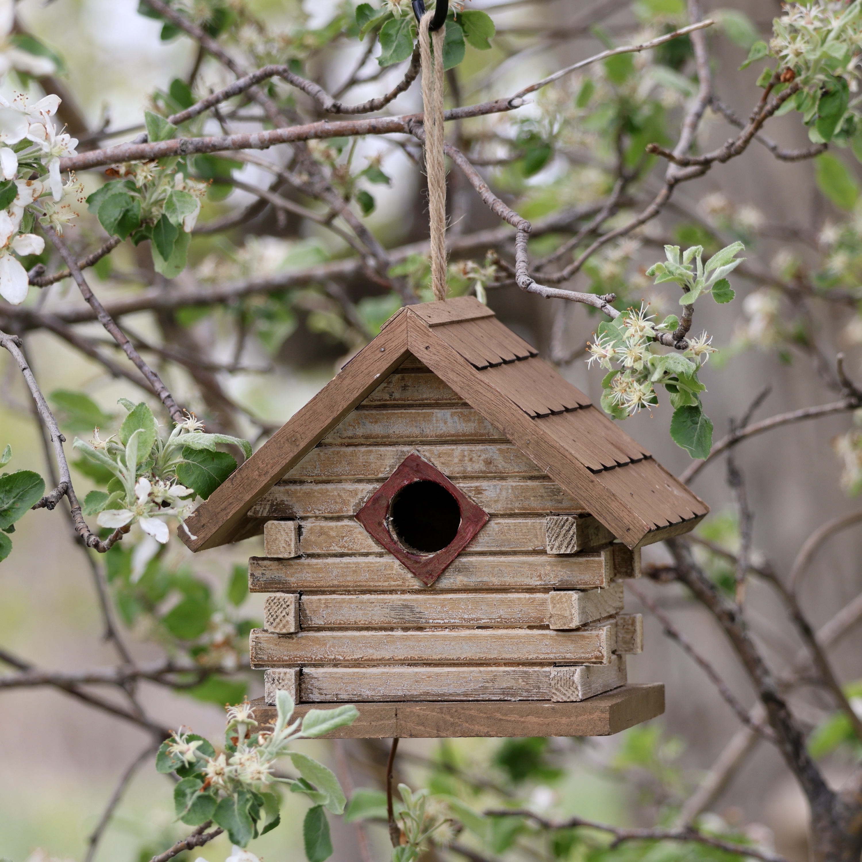 Backyard Essentials Wren Bird House Wooden Hanging Birdhouse - Walmart.com