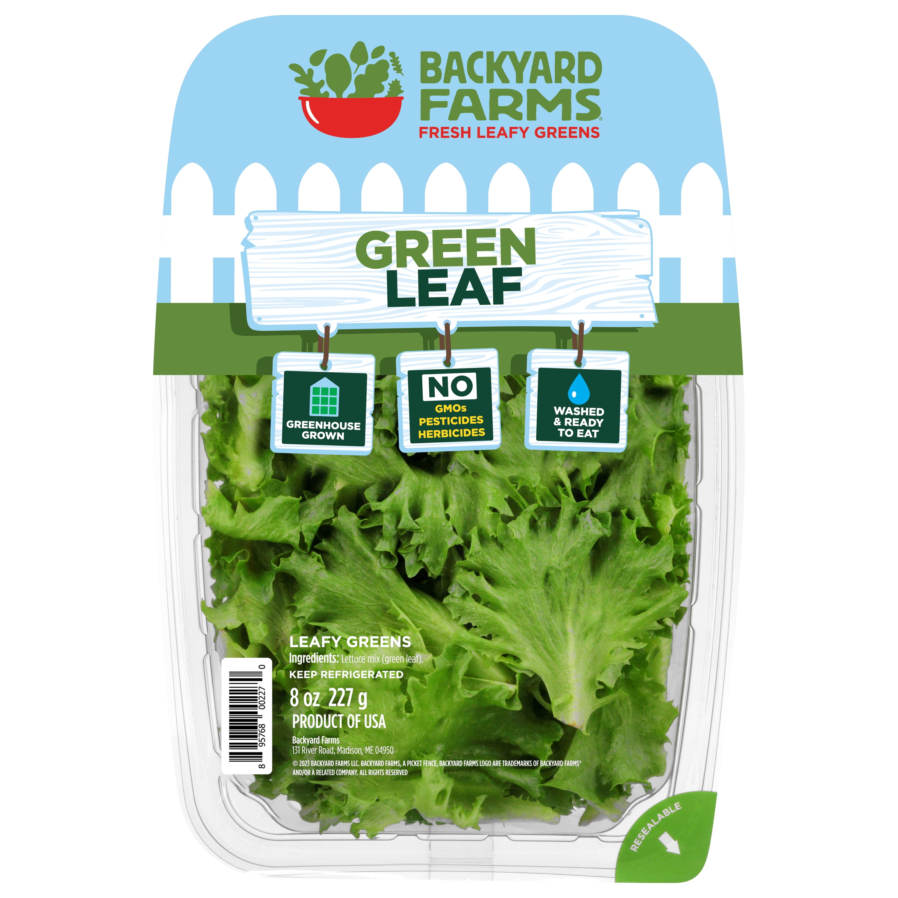 Backyard Farms Green Leaf Pre-Washed Lettuce, 8 oz Resealable Package ...