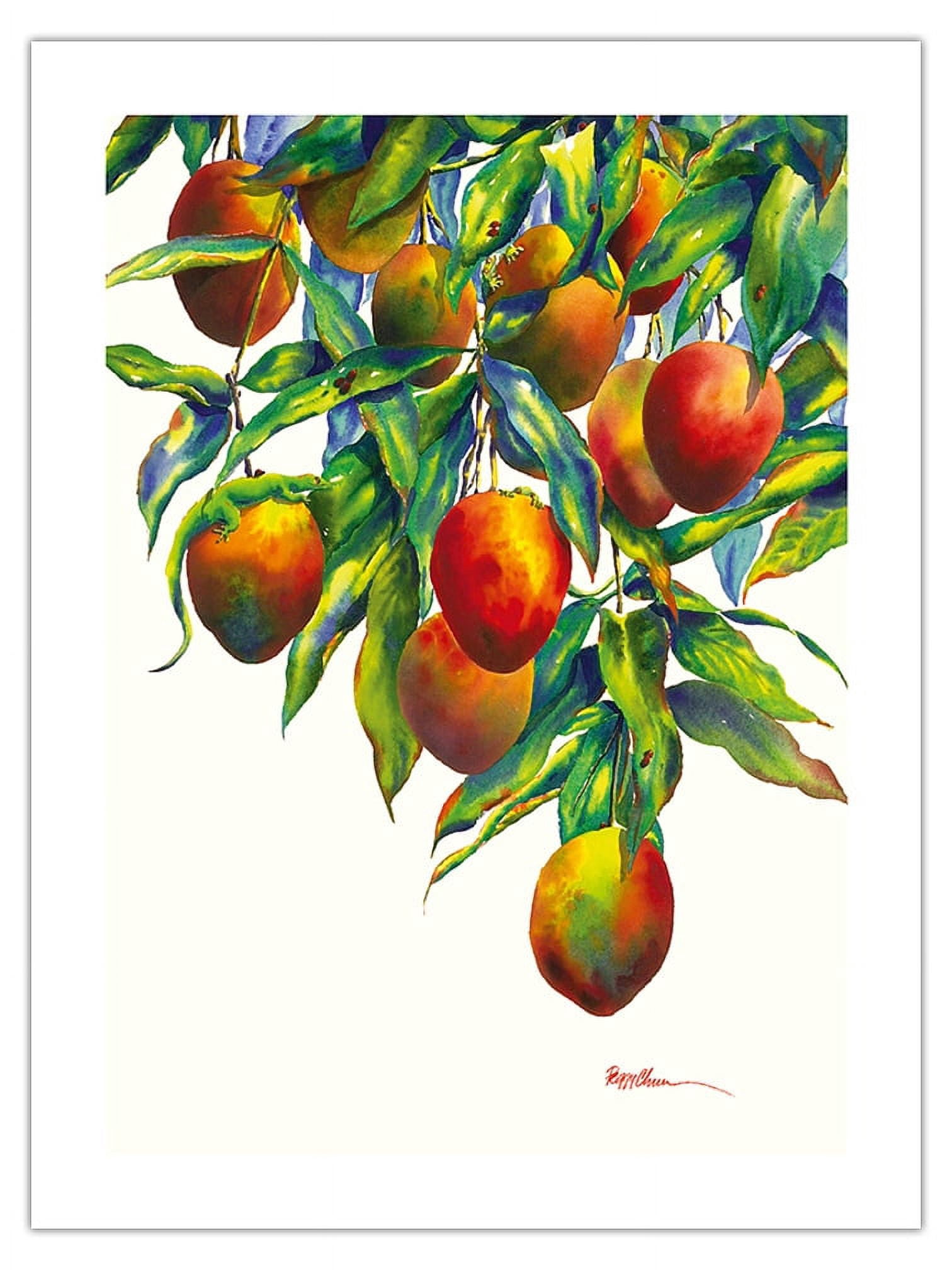 Backyard Mangoes - Hawaiian Mangos and Geckos (Kapili) - From an ...
