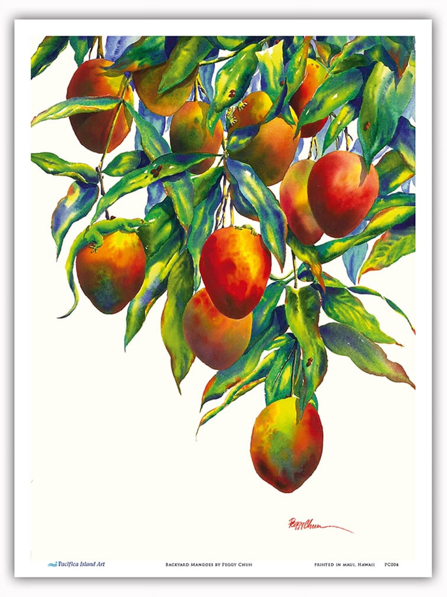 Backyard Mangoes - Hawaiian Mangos and Geckos (Kapili) - From an ...