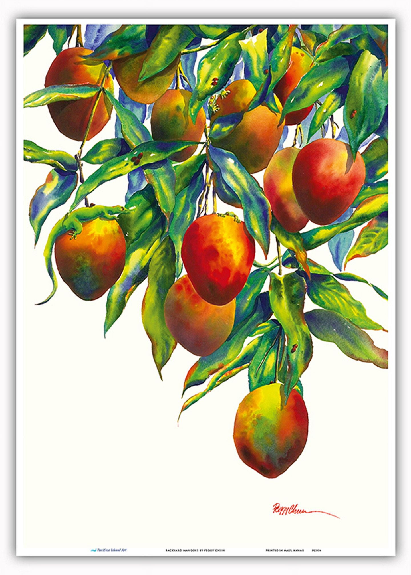 Backyard Mangoes - Hawaiian Mangos and Geckos (Kapili) - From an ...