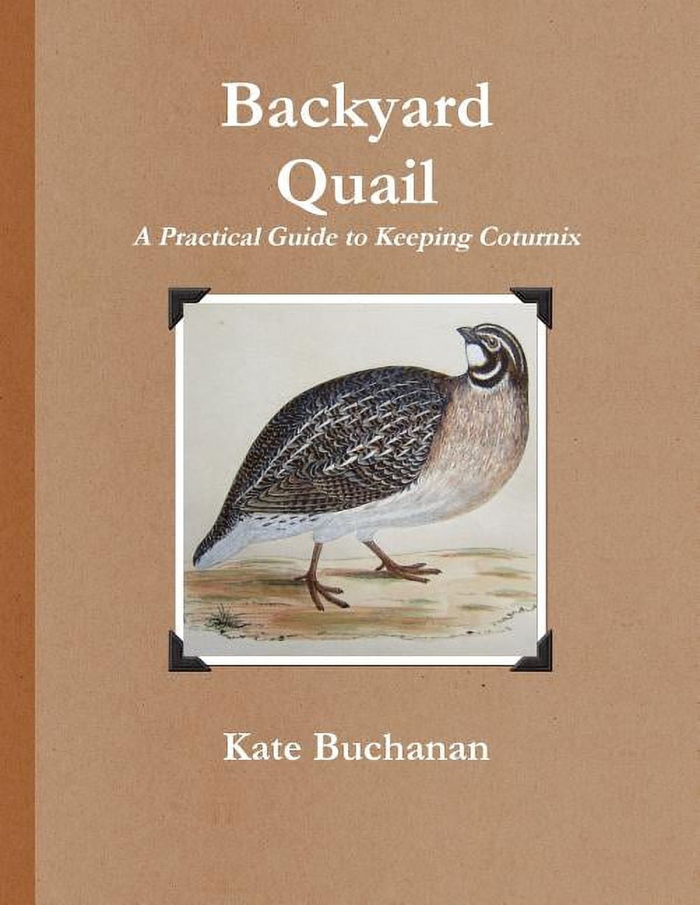 Backyard Quail (Paperback) - Walmart.com