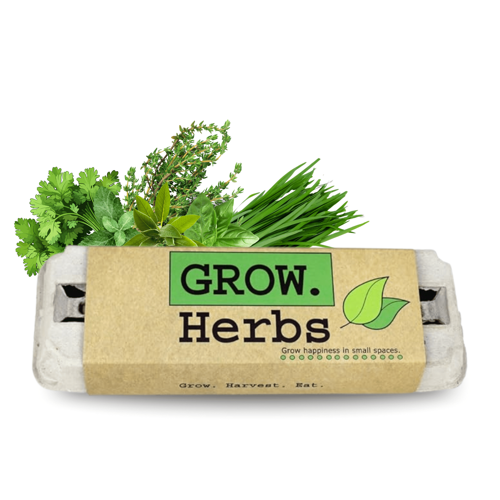 Backyard Safari Grow Herb Patio Gardening Kit with 6 Heirloom Seeds ...